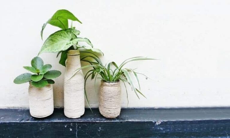 DIY Planters: How to Create Unique Pots for Your Indoor Plants - Garden