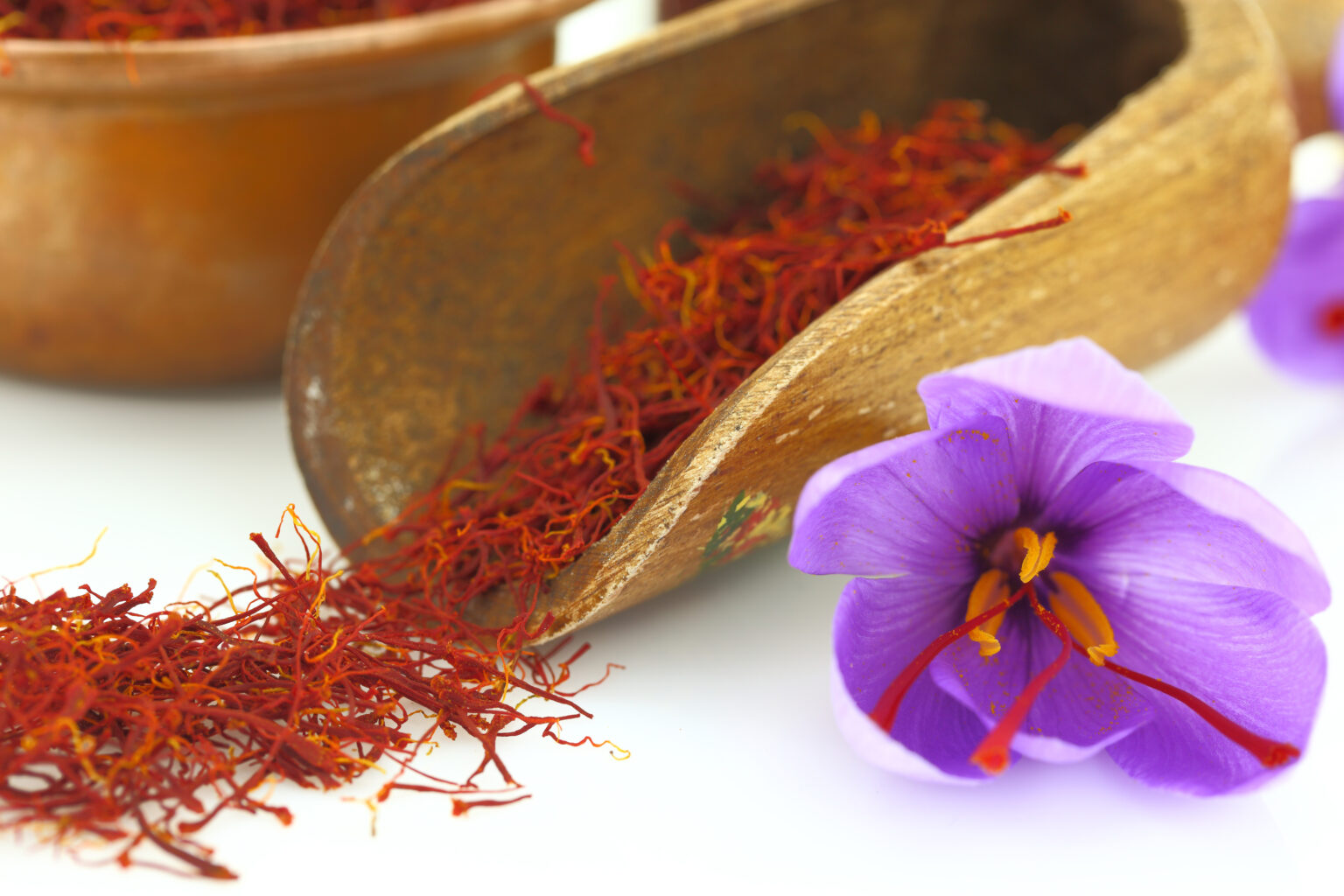 How To Grow Saffron - Garden